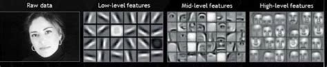 Getting Important Features Of A Cnn Deep Learning Fastai Course Forums