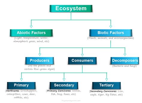 Ecosystem Definition Diversity Examples Types Structure