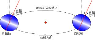 Wiki