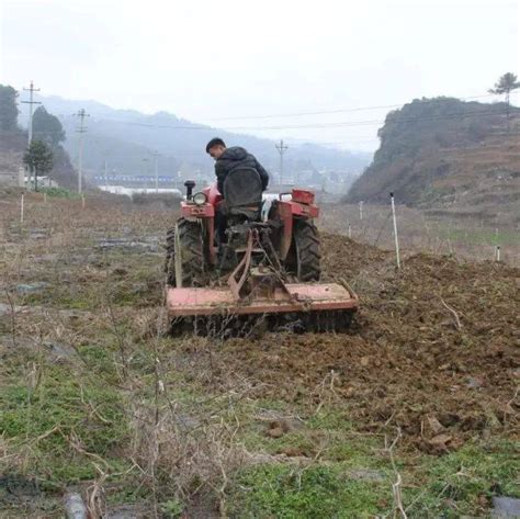 大方县兴隆乡：积极推进春耕生产推动农业产业高质量发展种植大沟村农户