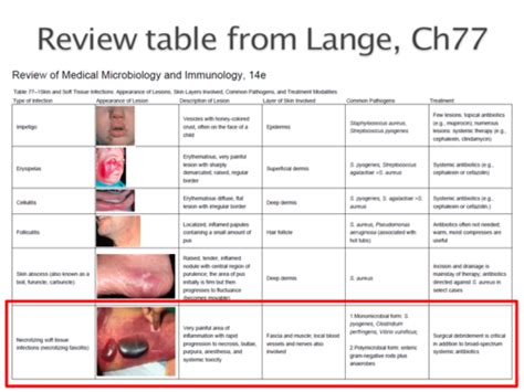 Necrotizing Soft Tissue Infections Flashcards Quizlet