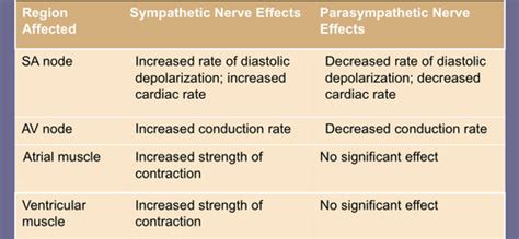 Cardiac Output And Vascular Resistance Flashcards Quizlet