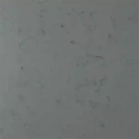 Fossil Grey Quartz Stone Popular Choice For Designers