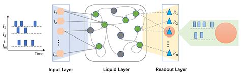 liquid neural networks simple implementation by abdulkader helwan python in plain english