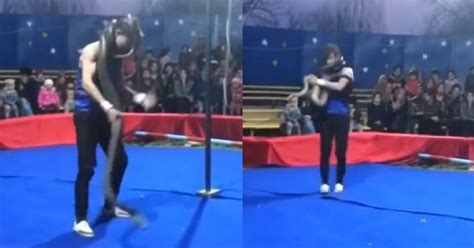 Viral Video गले में लपेट कर अजगर से खिलवाड़ करना पड़ा भारी India Daily