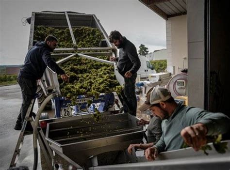 “와인보다 맥주 위기의 프랑스…美 관세 공격에 타격