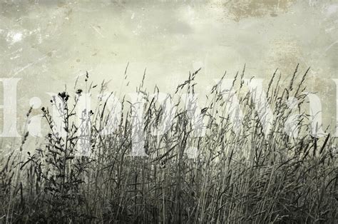 Black And White Grass Wallpaper