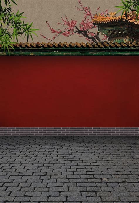 Mehofond Classical Chinese Architecture Photography Background Classical Window Curtain Portrait