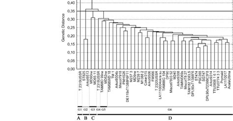Genetic Relationship Among The Upland Cotton Lines Based On Nuclear Ssr Download Scientific