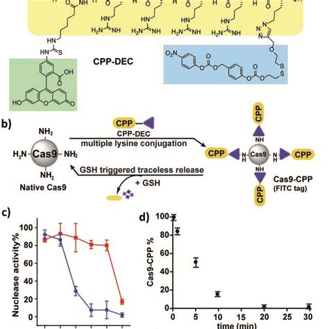 Cpp Can Be Conjugated To Cas9 Via Dec And Releases Active Cas9 Under