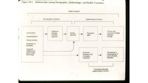 Ppt Terms Epidemiologic Transition Powerpoint Presentation Free Download Id4409469