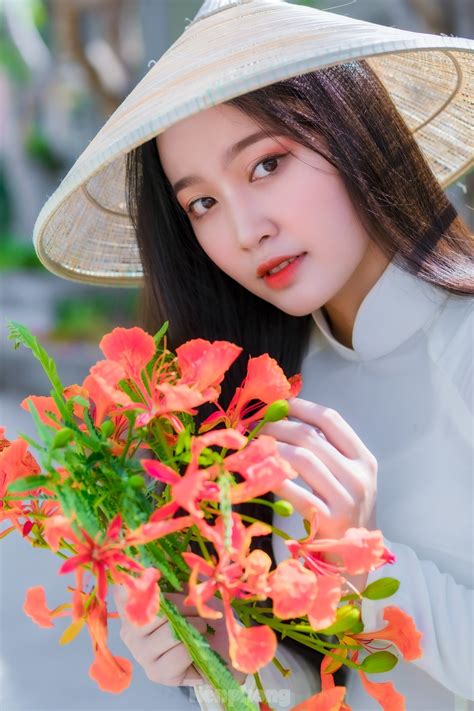 Phố Phường Hà Nội Rực Rỡ Sắc Hoa Phượng đỏ Tháng 5 Vietnamvn
