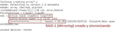 Raid 1 Mirroring Linux Creado Y Sincronizando