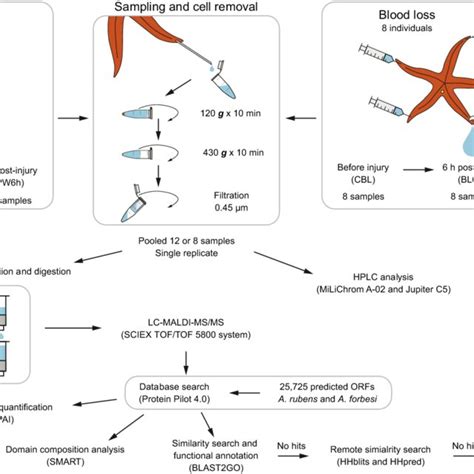 Schematic Overview Of The Experimental Workflow A Repeated Measures Download Scientific