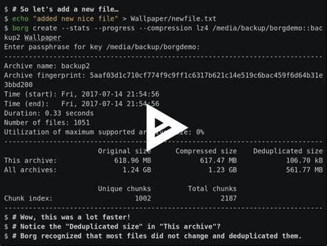 borgbackup frontends r linux