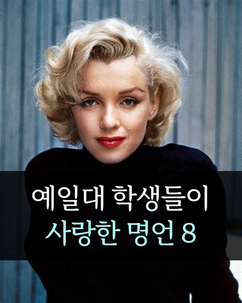 오늘의감성 지금 이 순간을 소중히 하세요 책 흔들릴줄알아야부러지지않는다 는 모든 서점에서 구매 가능합니다 심리학자들이 존경하는 심리학자 김정호 교수의 인생 수업을