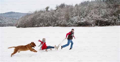 여자와 남자는 겨울 눈 덮인 시골에서 개와 산책을하고 있다 사진 Unsplash의 썰매 이미지