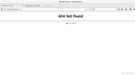 Nginx全局配置 Csdn博客