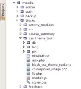 Css Theme Tool Block Moodledocs