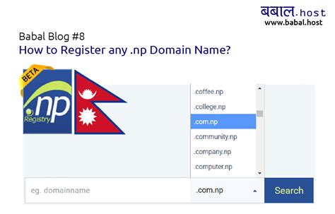 How To Register Np Domain Name Babal Host Blog