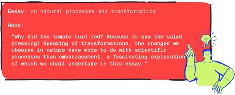 How To Write A Hook Good Hooks Essay Starters