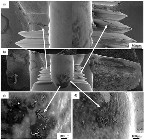 Microscopic Observations Of The Inner Area Of The Fracture Surface Download Scientific Diagram