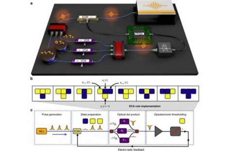 Unleashing Photonic Computing Potential Through Artificial Life