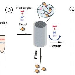 Traditional Modes Of Cell Separation Currently Used In The Laboratory Download Scientific