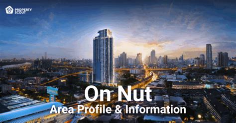On Nut Area Profile And Information