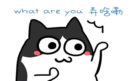 what什么意思 酷知科普