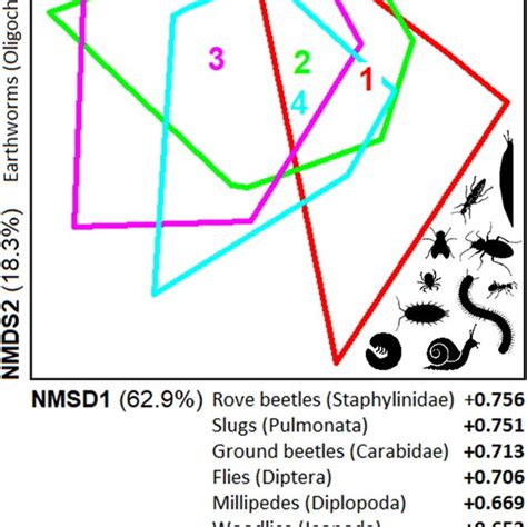 nonmetric multidimensional scaling nmds biplot of invertebrate taxon