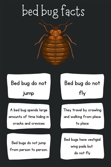 Must Know Bed Bug Facts If You Fear An Infestation Bed Bugs Bed Bug