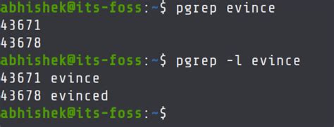Linux 中如何查找进程的 PID 和 PPID 墨天轮