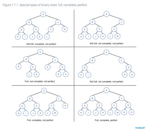 Trees Flashcards Quizlet