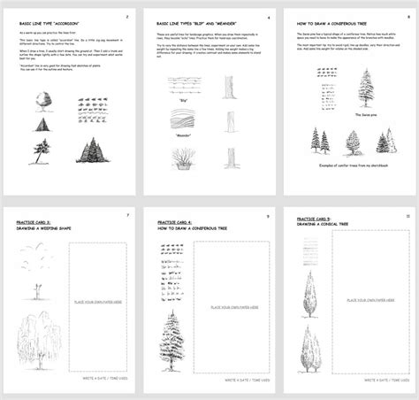 PRACTICE BOOK How To Draw A Tree