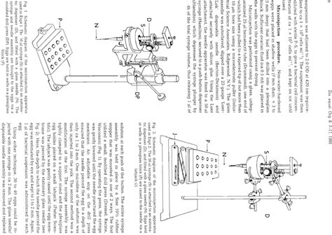 Schematic D~agram Of The Microinjection Apparatus Used In Expt 2 The Download Scientific