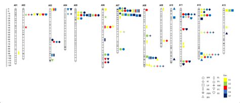 The Distribution Of Co Qtls For Yield Related And Fiber Quality