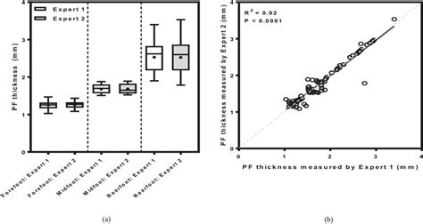 inter operator variability a differences in thickness measurements