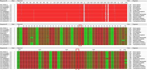 multiple sequences alignment depiction of cplane1 gene the red boxes download scientific
