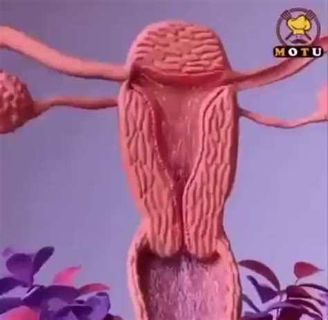 Deepak Pandey On Linkedin Hospital Medical Medicine Medicina