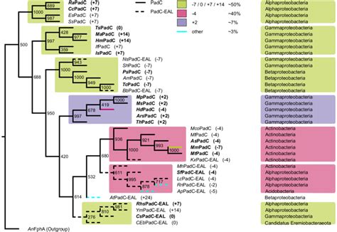 Bootstrap Tree Of Representative Padc Continuous And Padc Eal Download Scientific Diagram