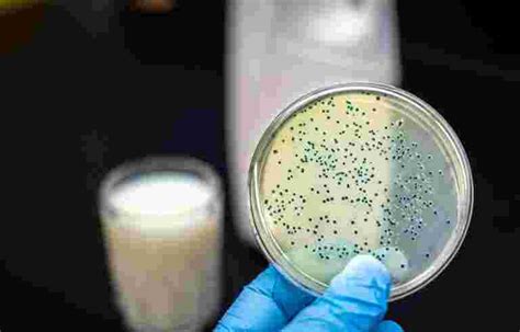 Bacteria Measuring Devices FAQs Answered All Heal Health Care Get Your Daily Dose Of Health