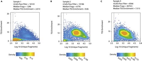 Cell Press Star Protocols