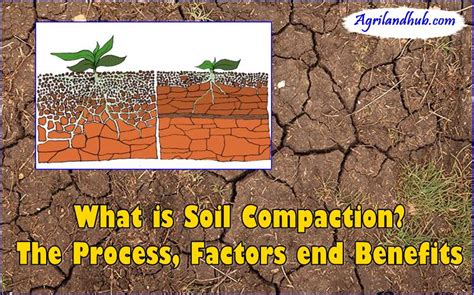 What Is Soil Compaction The Process Factors And Benefits AgriLandHub Com