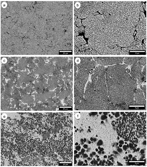 Microstructure Of The Sample Core A B After Being Heated Up To 473
