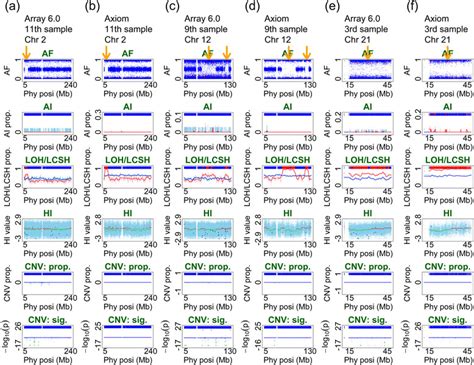 Illustrative Examples Of The Regions Of Lohlcsh Identified Using Both