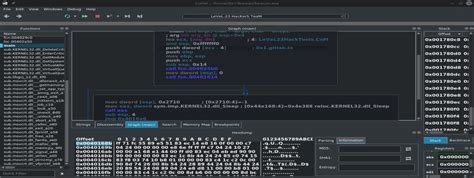 Cutter Radare2 Gui
