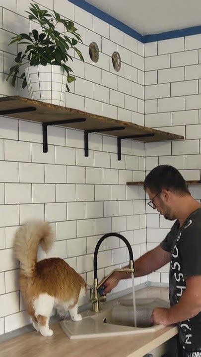 Как сделать стильные деревянные полки на кухне Youtube