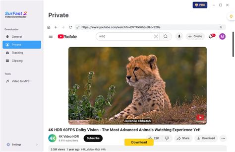 Safe Youtube Music Downloader App For Windows And Mac 2025