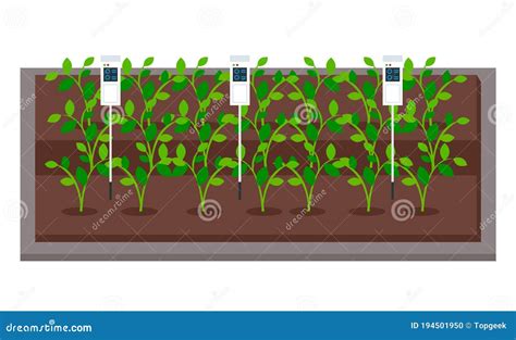 Hydroponics System Poster Vector Illustration CartoonDealer